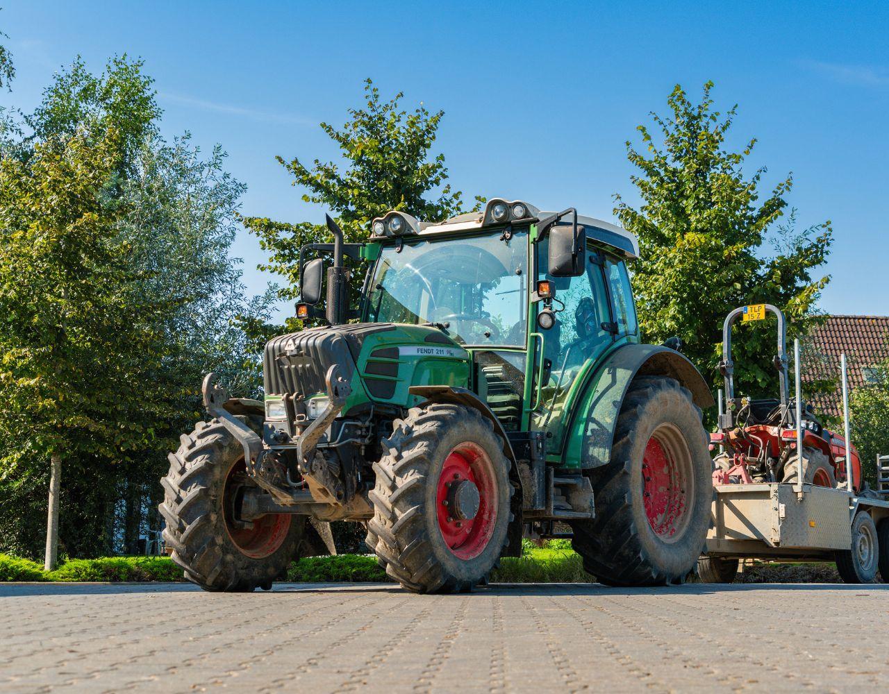 Supplier of avenue trees | Peterse Boomkwekerij